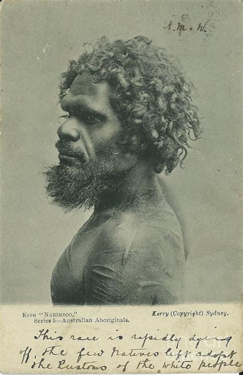 Aboriginal Australian Aboriginal Man Aboriginal Culture Aboriginal People Aboriginal