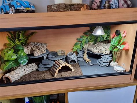 Best Leopard Gecko Tanks Enclosures Terrarium And Cages Rpzgiy