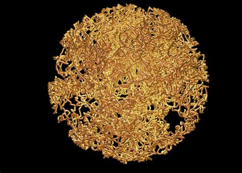 Directed Evolution Tailoring Proteins Enzymes And Life