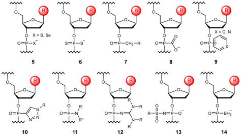 A Visual Compendium Of Principal Modifications Within The Nucleic Acid Sugar Phosphate Backbone