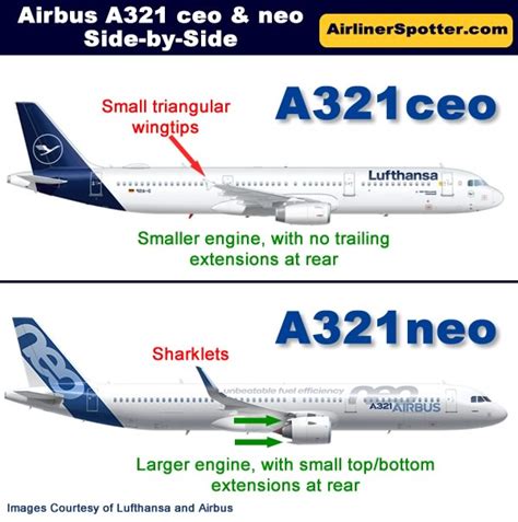 Airbus A321neo схема