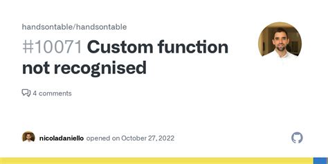 Custom Function Not Recognised · Issue 10071 · Handsontable