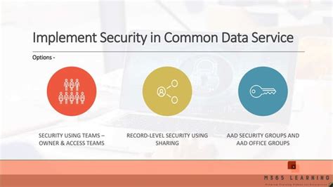 manage security in model app power app with common data service ppt