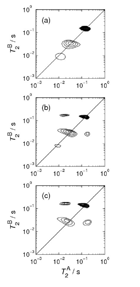 t 2 t 2 correlation plots of sample x acquired with storage intervals