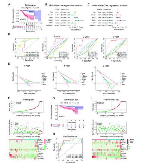 Evaluation And Verification Of The Prediction Ability Of The Model In