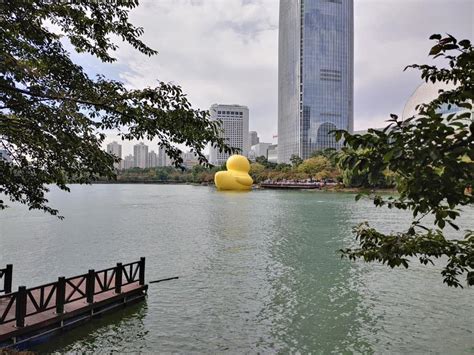 서울 Seoul 한국어 메리 크리스마스 영어 Merry Christmas 메리 크리스마스 일본어 メリークリスマス