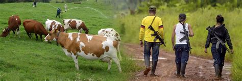 La Escalada De Inseguridad En Colombia Una Situación Fuera De Control