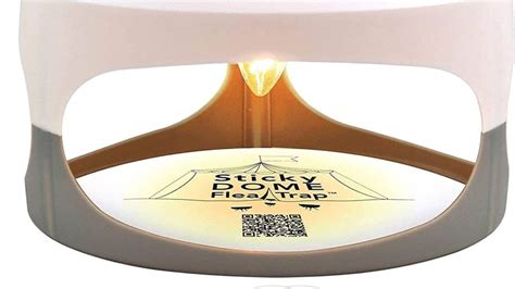 Complete Guide To Bed Bug Traps 3 Best Ones In 2024