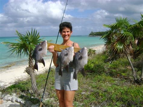 Triggerfish Florida Sportsman