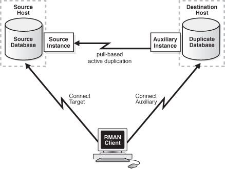Duplicating Databases
