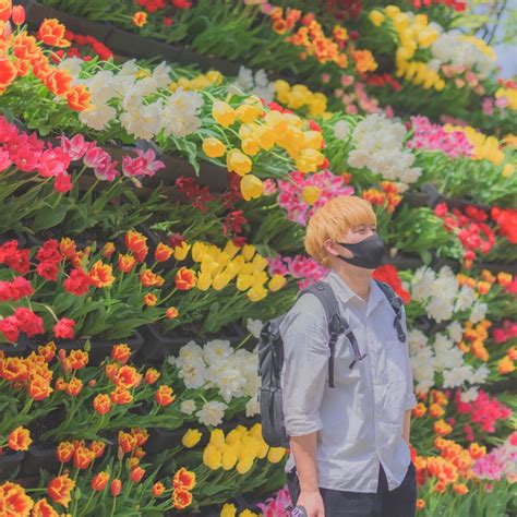 やどかり Timelapse Creatorさんの記事一覧 動画編集・映像制作tipsサイト Vook ヴック