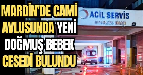 Mardinde Cami Avlusunda Yeni Doğmuş Bebek Cesedi Bulundu