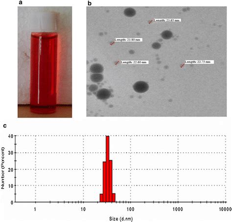 Characterization Of Selenium Nanoparticles Nano Se A Light Image Of Download Scientific