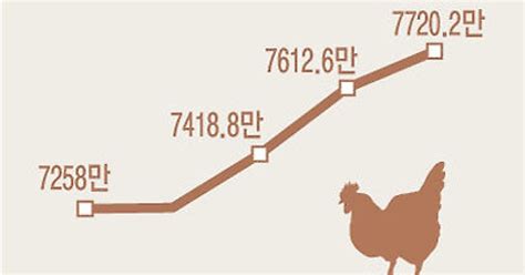한우값 하락에 한·육우 1년새 2 9 감소…오리·육계·산란계↑