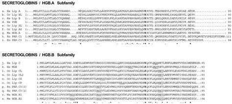 Characterization And Cloning Of Two Isoforms Of Heteroglobin A Novel