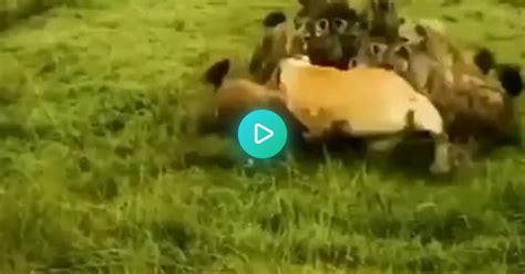 Squad Goals Album On Imgur