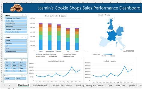 Excel Interactive Sales Dashboard Etsy