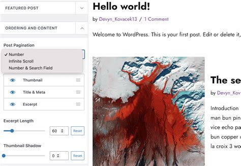 How To Solve Avoid An Excessive Dom Size In Wordpress
