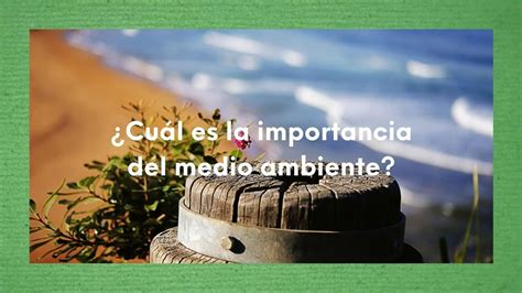 Beneficios De Proteger El Medio Ambiente ¡descúbrelos
