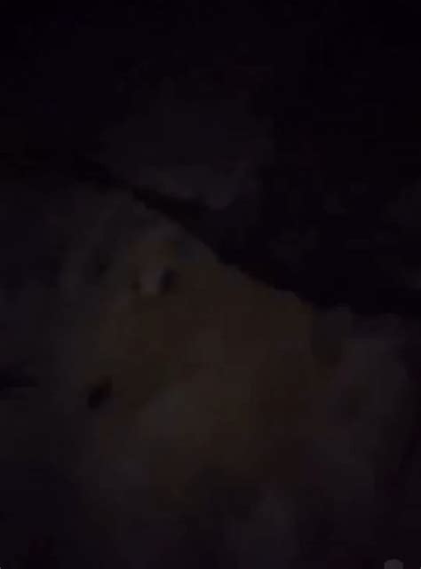 Poppin R Perfectlycutscreams