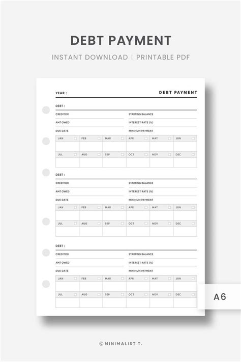 Debt Payment Tracker