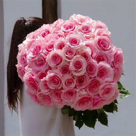 Buy Pink Passion Roses Rose Farmers