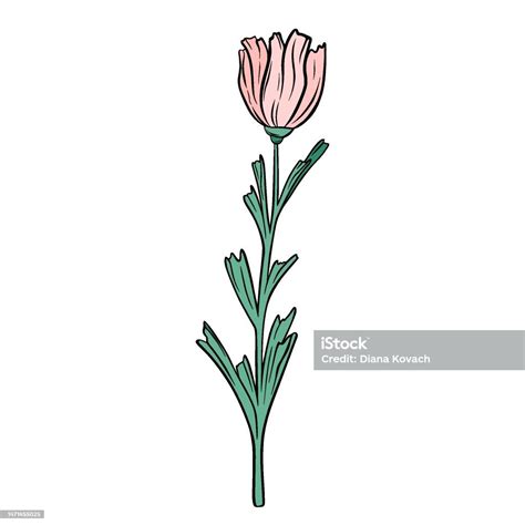 흰색 배경에 격리된 손으로 그린 꽃 인사말 카드 청첩장 패브릭에 대 한 식물 장식 낙서 스케치 그림 화려한 벡터 꽃 요소입니다