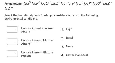 Solved For Genotype Lac Lacpt Lacoc Laczt Lacy Flacit