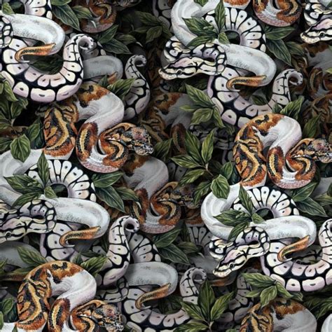 Ball Pythons 22 Pattern Crew