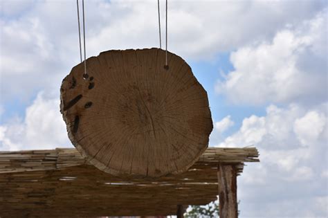 Photo Libre De Droit De Souche Darbre Arbre Panneau Daffichage Souche
