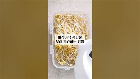 아삭아삭 콩나물 오래 보관하는 방법 콩나물 콩나물보관방법 살림 살림팁 꿀팁 생활꿀팁 자취팁 Shortvideo