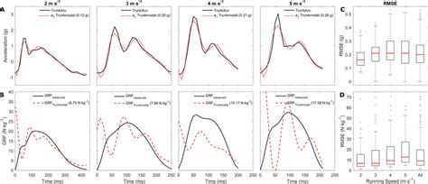 Representative Examples Of The Trunk Accelerometry Fitting And Grf Download Scientific Diagram