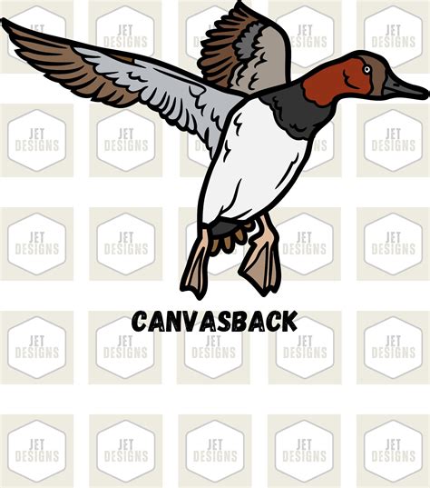 Canvasback Duck Svg Duck Svg Duck Hunting Svg Hunting Svg Duck