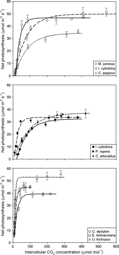 Responses Of Net Photosynthesis A To Intercellular CO2 Concentration