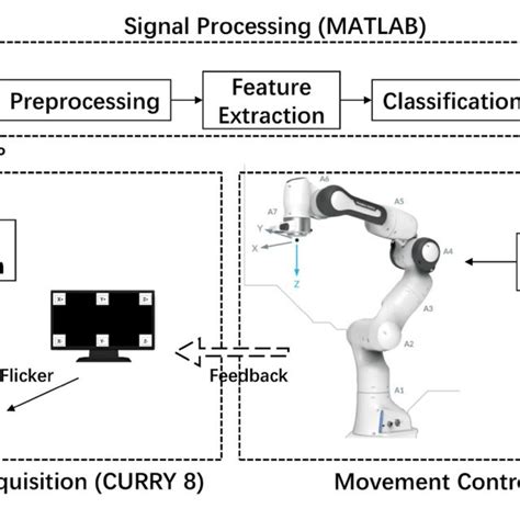 Overview Of The Proposed Steady State Visual Evoked Potential Download Scientific Diagram