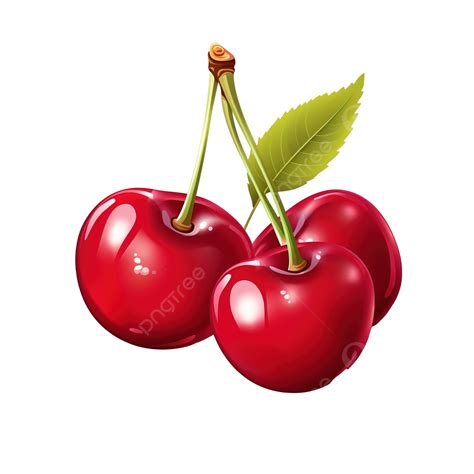 Ilustración De Cerezas Rojas PNG Cerezas Bosquejo Dibujos Animados