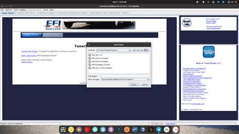 Install TunerStudio BETA On Linux Snap Store