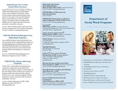 Department Of Social Work Programs Brochure By Hospital For Special