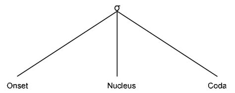 1 Syllable Model Onset Nucleus Coda Download Scientific Diagram