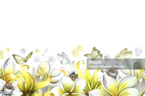 플루메리아 프랜지파니 오렌지 블라썸 일랑일랑의 향기로운 꽃이 있는 테두리 빈티지 섬세한 프레임 와 열대 꽃 나비 손으로 그린 수채화 그림입니다 엽서용 0명에 대한 스톡 벡터