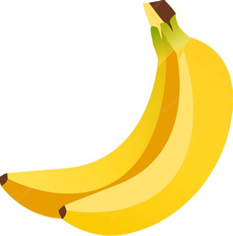 Premium Vector Bananas