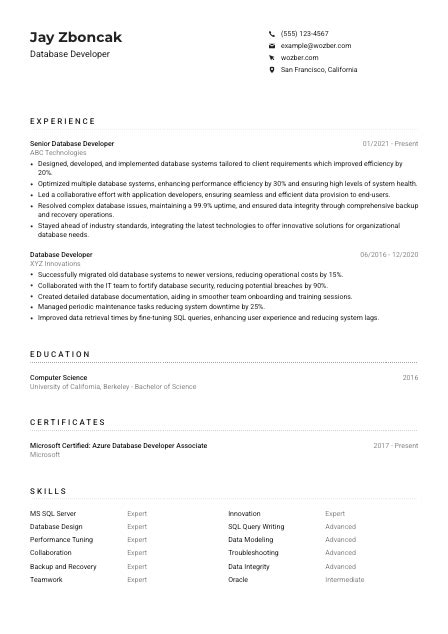 Database Developer Resume Example