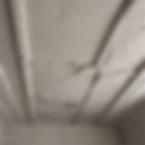 Understanding Plaster Ceiling Repair Costs