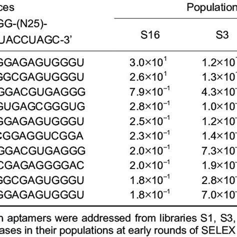 The Most Enriched Aptamer Sequences Obtained By Ngs Download Table