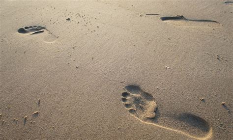 3d Printed Insoles Could Improve Foot Health For Diabetes Patients Voxelmatters The Heart Of