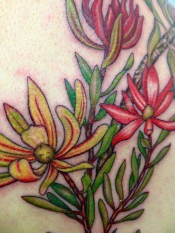 Australian Native Plant Botanical Tattoos Botanical Tattoo