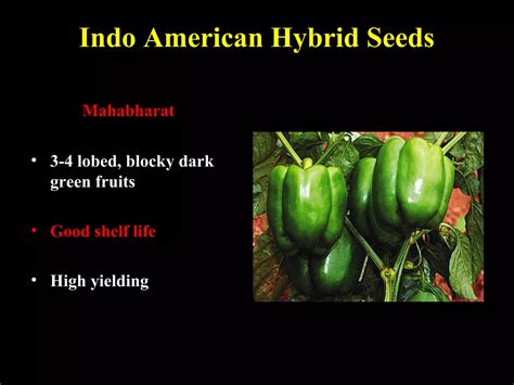 Protected Cultivation Of Capsicum Ppt
