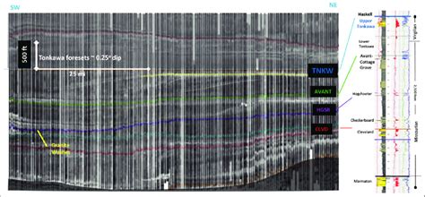 Regional Dip Oriented Gamma Ray Cross Section Flattened On The Top Of