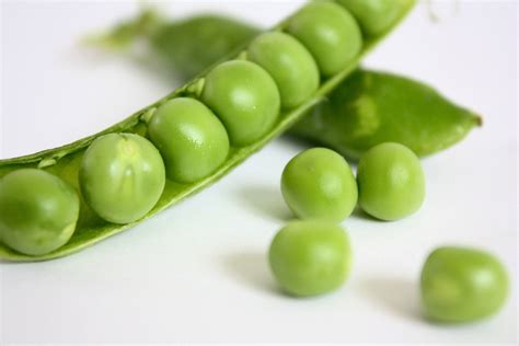 Identifying Pea Protein Off Flavors Research 2019 2020 GFI