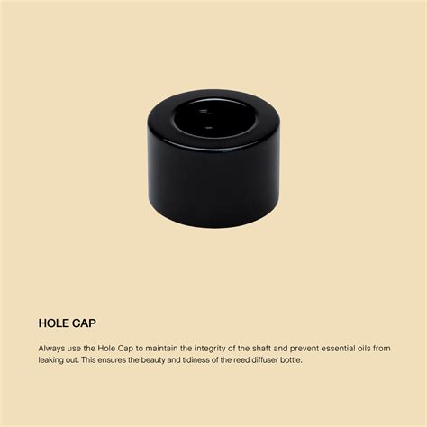 Scent Your Home With The Long Lasting Aroma Of Our Original Room Perfume Diffuser Karmakamet